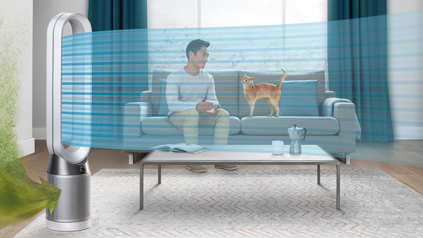 Cat hair air purifier store